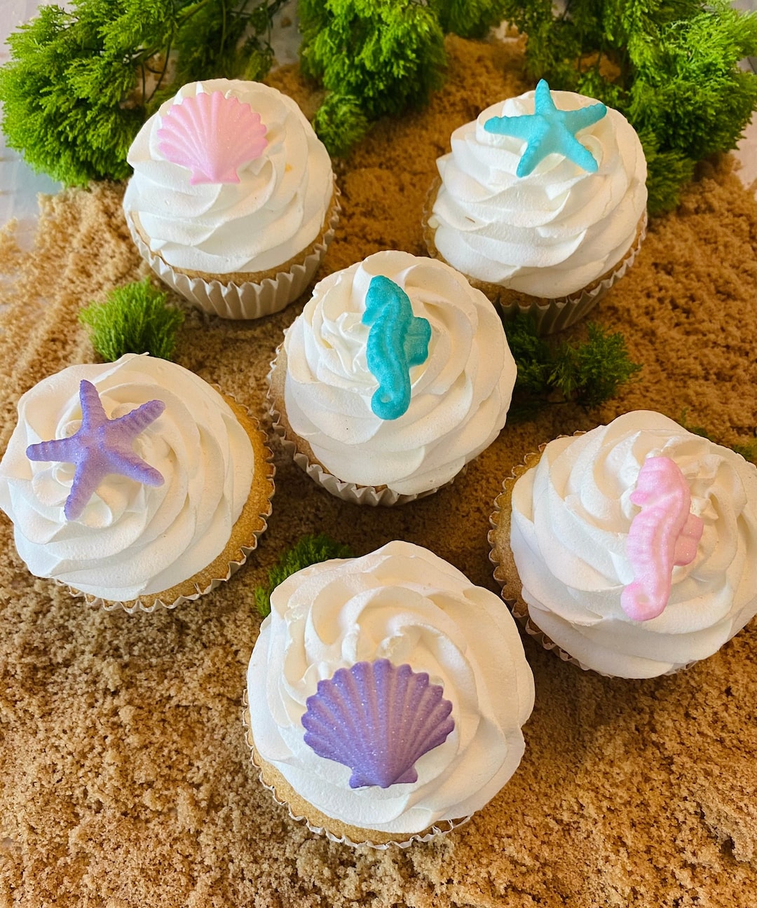 SEAHORSE, STARFISH & SHELL Under the Sea Assortment Edible Sugar (24 ...