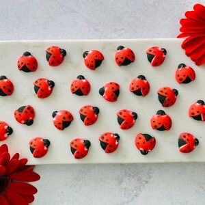 LADYBUGS Edible Sugar Decorations - 24 Pieces Cupcake or Cake Toppers ...
