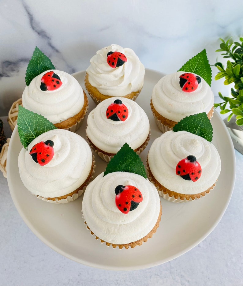LADYBUGS Edible Sugar Decorations - 24 Pieces Cupcake or Cake Toppers ...