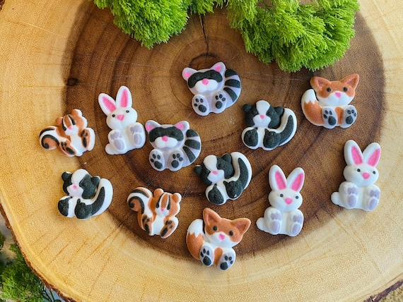 WOODLAND ANIMALS EDIBLE Sugar 15 Pieces Cupcake or Cake - Etsy