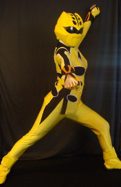 Power Rangers Jungle Fury Yellow Ranger Costume
