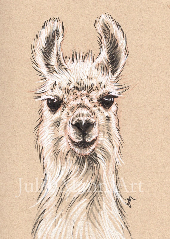 Funny Llama Face Drawing