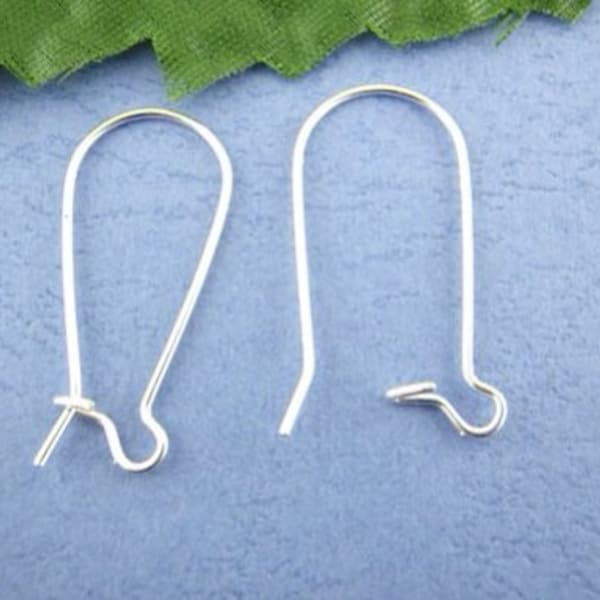 Kidney Ear Wires - Etsy