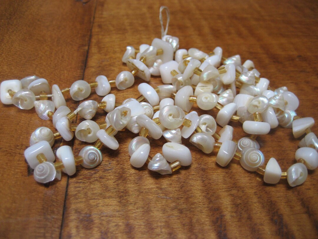 Shell Beads With Mini Iridescent Snail Shells for Your Necklace or ...