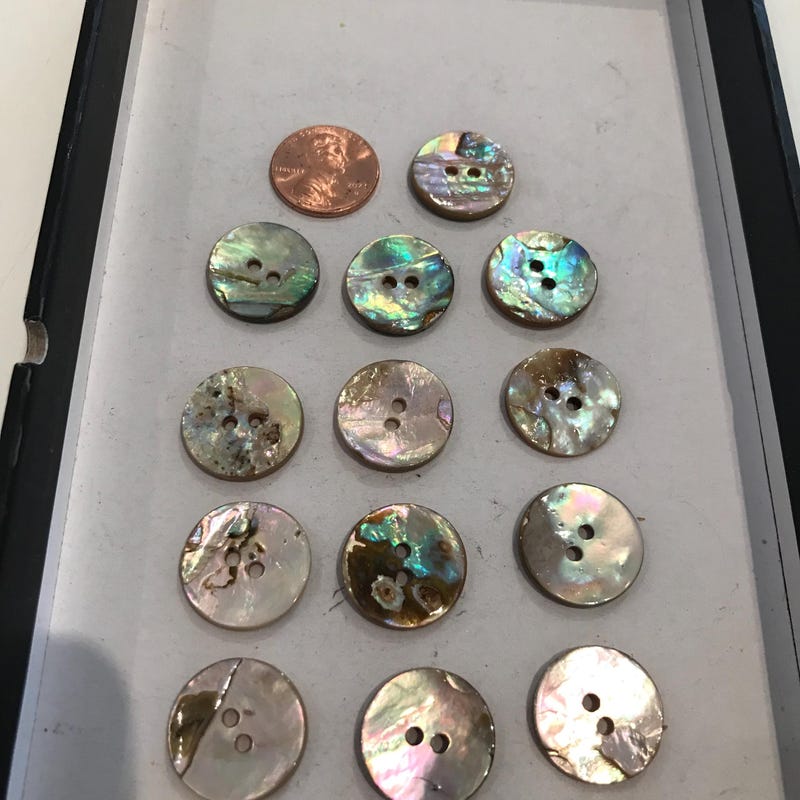 Abalone Buttons - Etsy