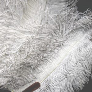 Antique Female Ostrich Feather Fan, Tortoiseshell Burlesque Folding Fan ...