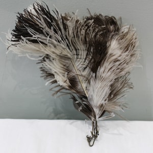 Late Victorian or Edwardian Female Ostrich Feather Hair Small Feather ...