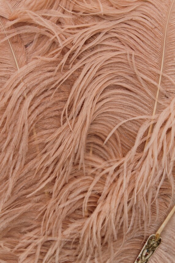 Edwardian or Art Deco Ostrich feather fan, peach wedd… - Gem
