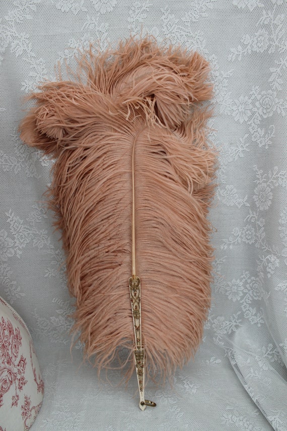 Edwardian or Art Deco Ostrich feather fan, peach wedd… - Gem