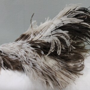 Late Victorian or Edwardian Female Ostrich Feather Hair Small Feather ...