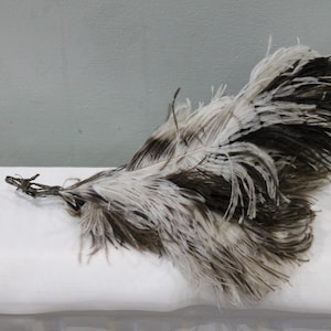 Late Victorian or Edwardian Female Ostrich Feather Hair Small Feather ...