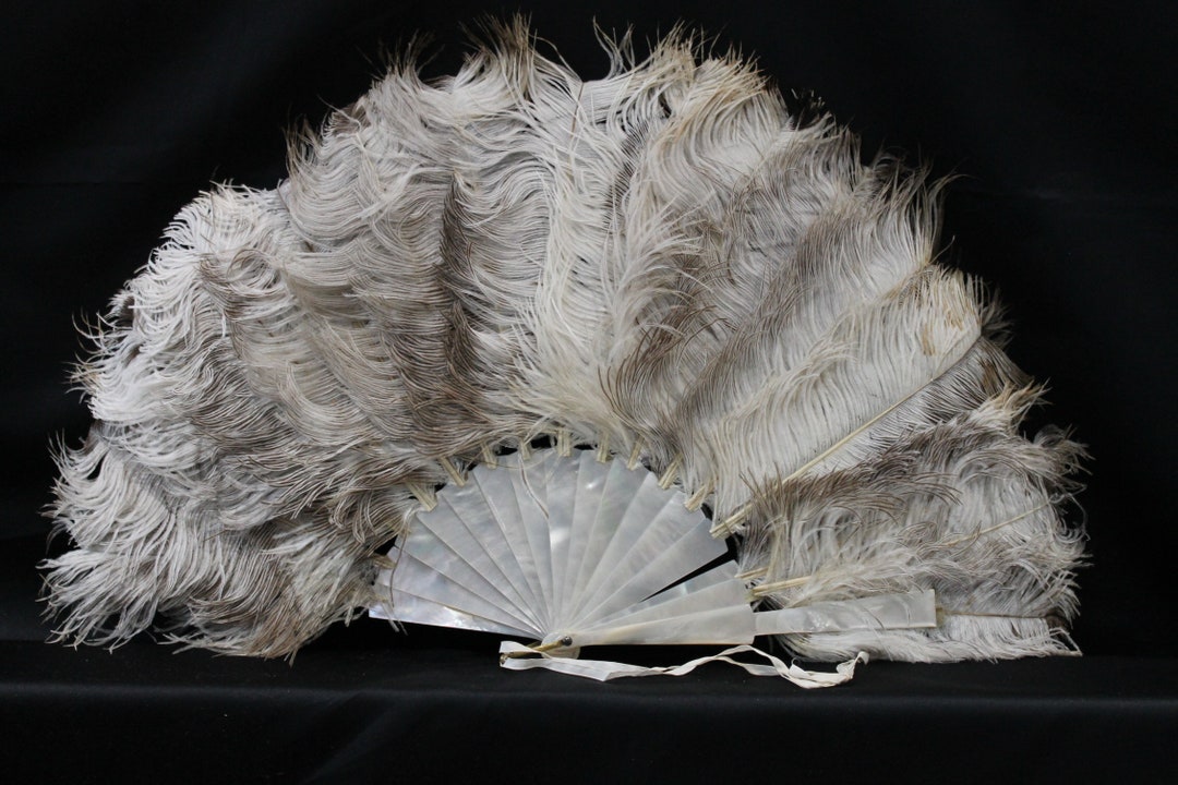 Victorian/edwardian Female Ostrich Feather on White Mother of - Etsy