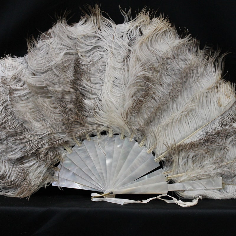 Burlesque Fan - Etsy