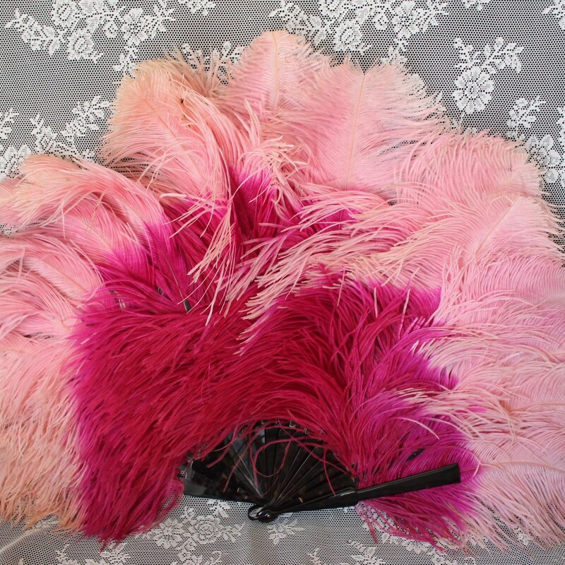 Feather Fan - Etsy