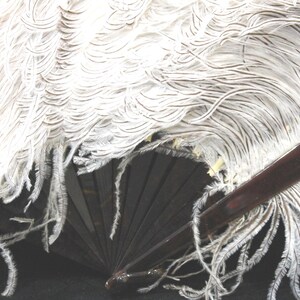 Antique Female Ostrich Feather Fan, Tortoiseshell Burlesque Folding Fan ...