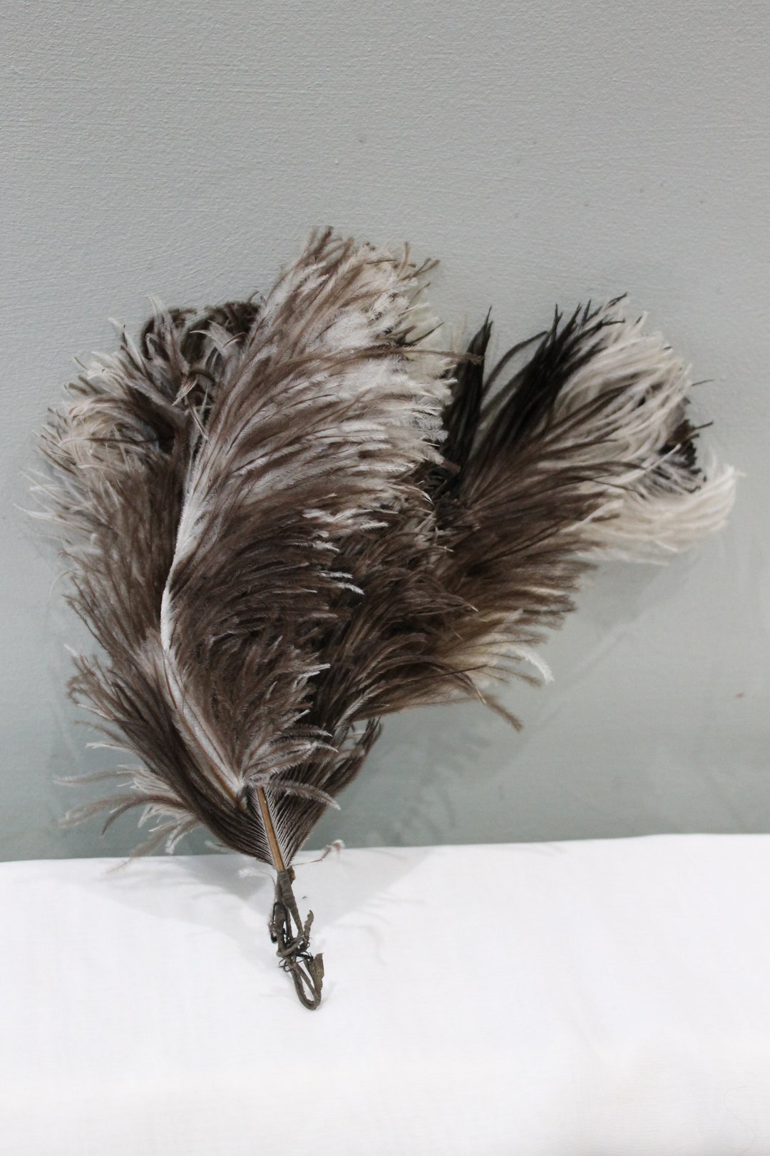 Late Victorian or Edwardian Female Ostrich Feather Hair Small Feather ...