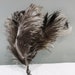 Late Victorian or Edwardian Female Ostrich Feather Hair Small Feather ...