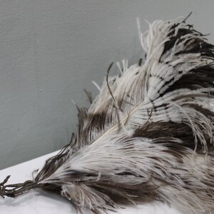 Late Victorian or Edwardian Female Ostrich Feather Hair Small Feather ...