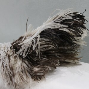Late Victorian or Edwardian Female Ostrich Feather Hair Small Feather ...