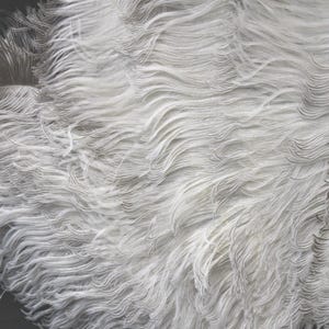 Antique Female Ostrich Feather Fan, Tortoiseshell Burlesque Folding Fan ...