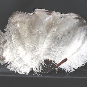 Antique Female Ostrich Feather Fan, Tortoiseshell Burlesque Folding Fan ...