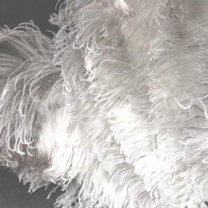 Antique Female Ostrich Feather Fan, Tortoiseshell Burlesque Folding Fan ...