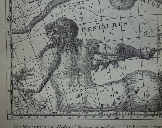 ASTRONOMY Old Star Chart Dutch Vintage Astronomy Print of | Etsy