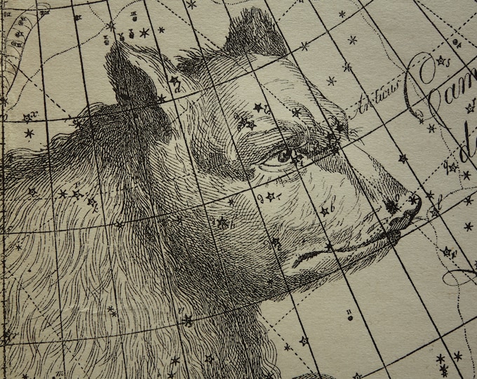 Old Star Chart Dutch Vintage Astronomy Map of Great Bear Big | Etsy