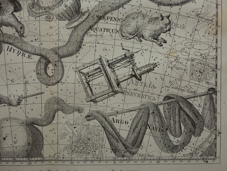 ASTRONOMY Old Star Chart Dutch Vintage Astronomy Print of - Etsy