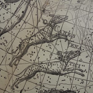 Old Star Chart Vintage Dutch Astronomy Map of Canes Vena Bootes Virgo ...