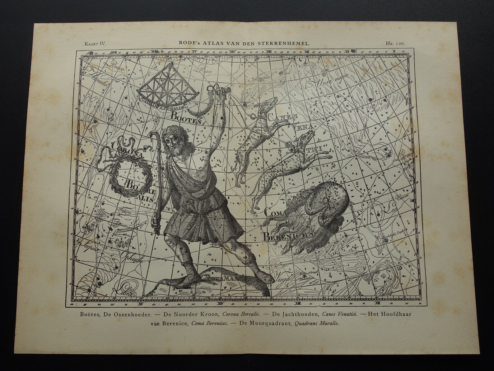 Old Star Chart Vintage Dutch Astronomy Map of Canes Vena | Etsy