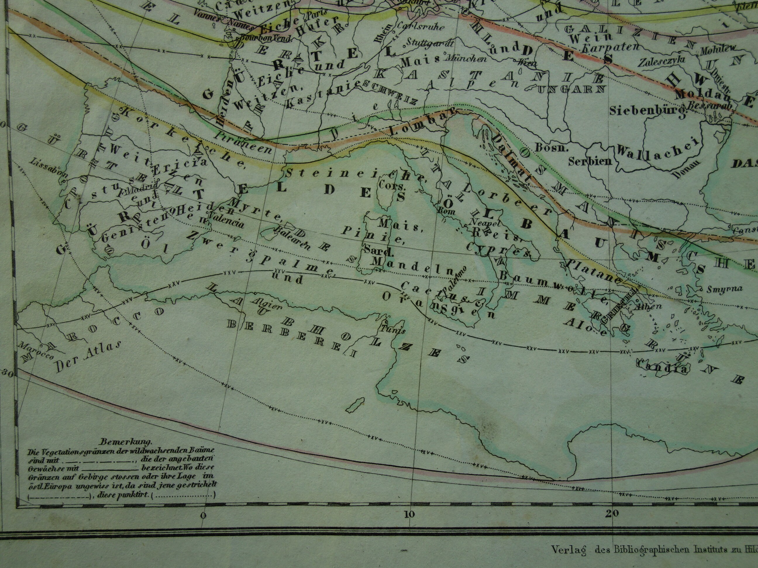 EUROPE Map of Agriculture 1850 Old Antique Print About Crops - Etsy