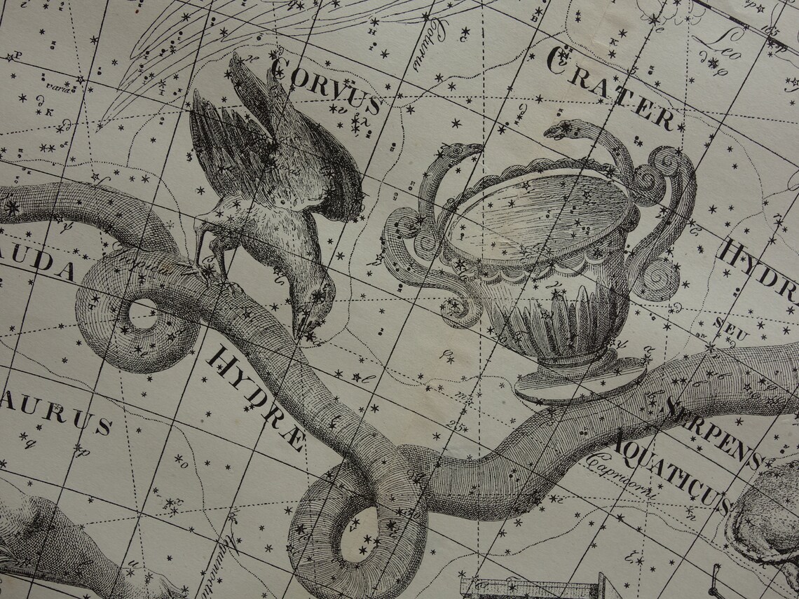 ASTRONOMY Old Star Chart Dutch Vintage Astronomy Print of - Etsy
