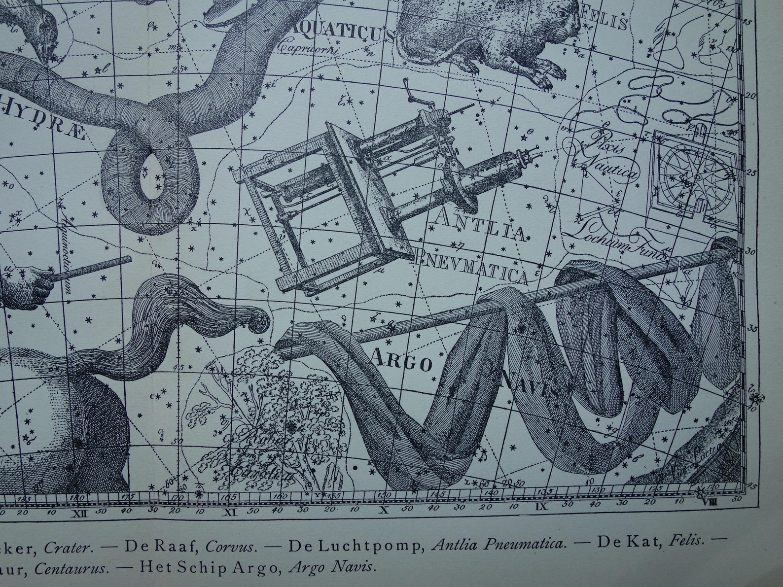 ASTRONOMY Old Star Chart Dutch Vintage Astronomy Print of Centaurus ...