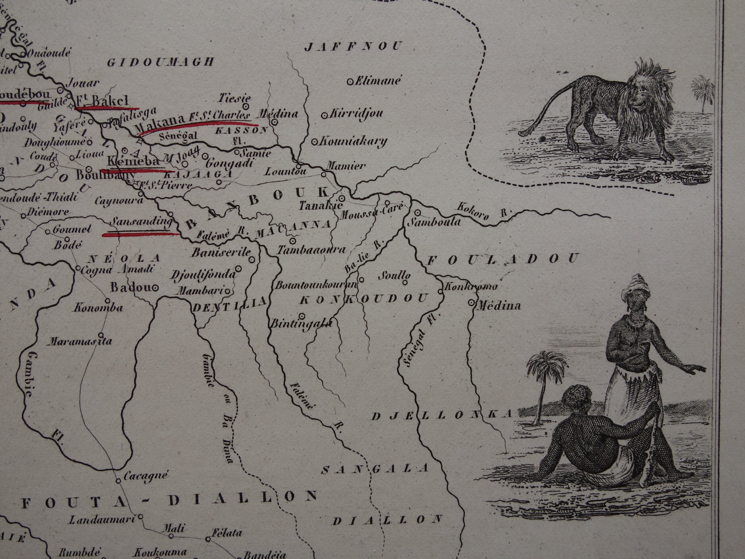 1880 Old Map of Senegal Hand-colored Antique Engraving Saint Louis ...