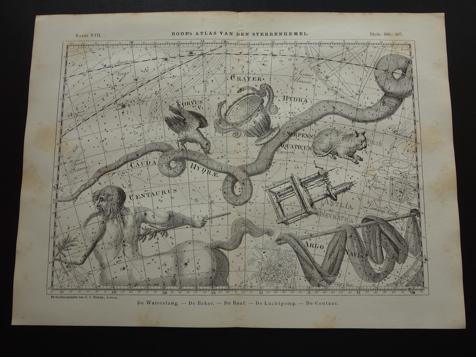 ASTRONOMY Old Star Chart Dutch Vintage Astronomy Print of - Etsy