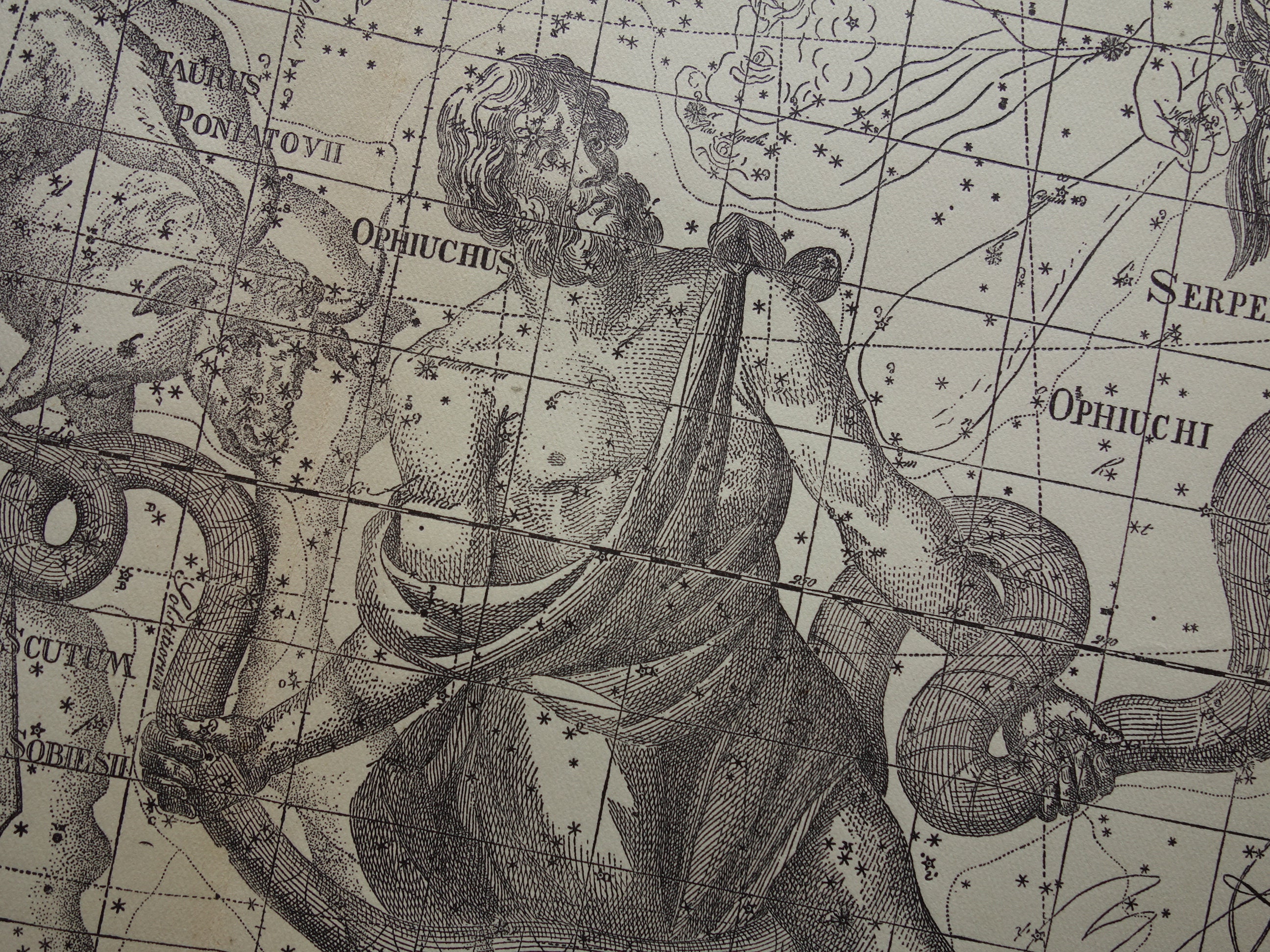Ophiuchus Constellation Map
