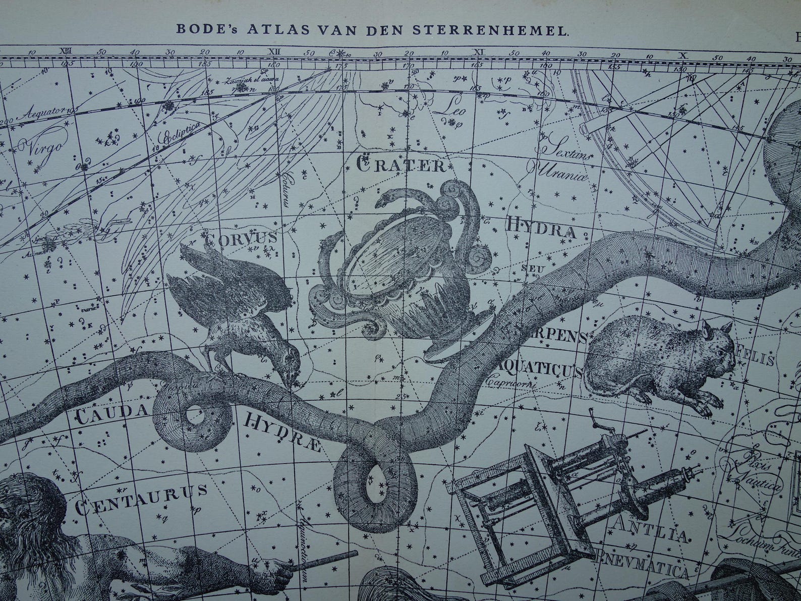 ASTRONOMY Old Star Chart Dutch Vintage Astronomy Print of Centaurus ...