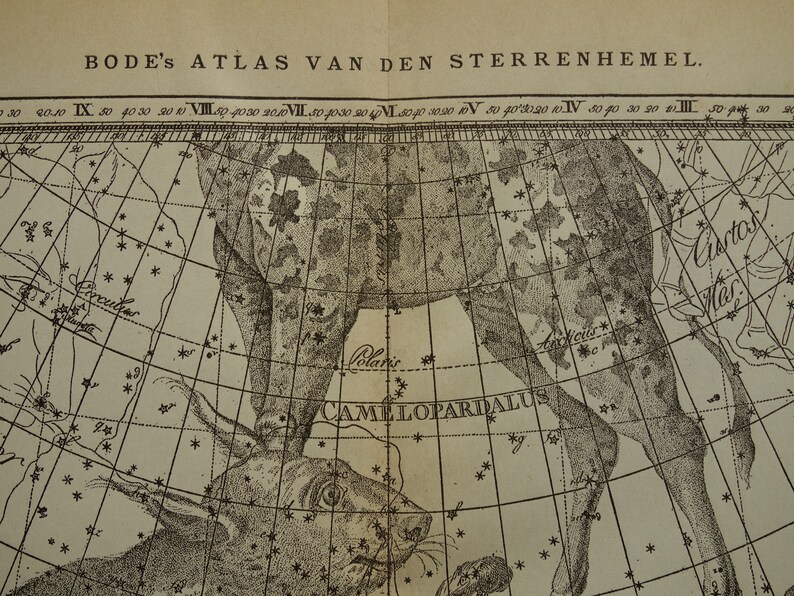 Old Star Chart Dutch Vintage Astrology Map of Lynx Auriga - Etsy