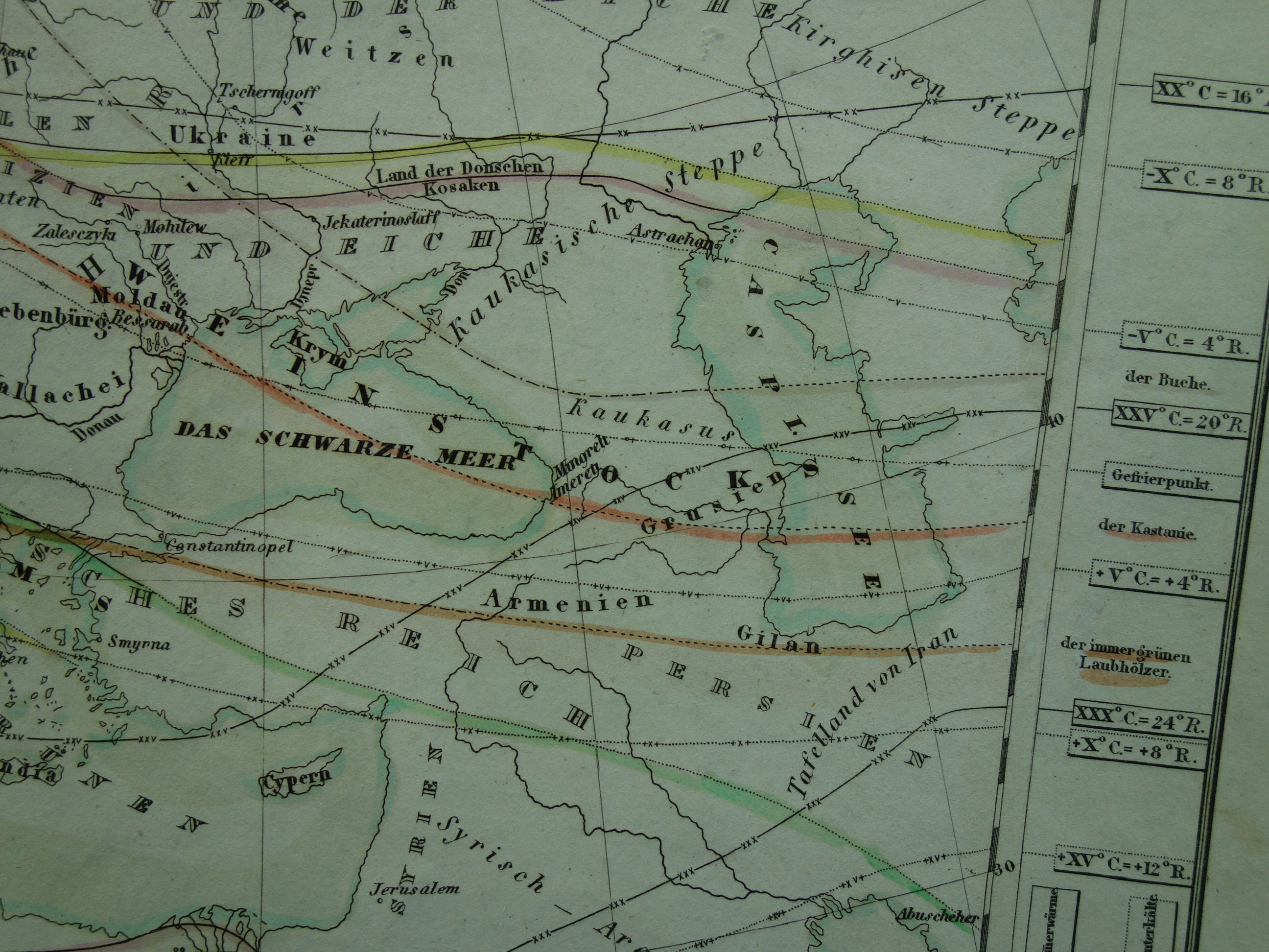 EUROPE Map of Agriculture 1850 Old Antique Print About Crops - Etsy
