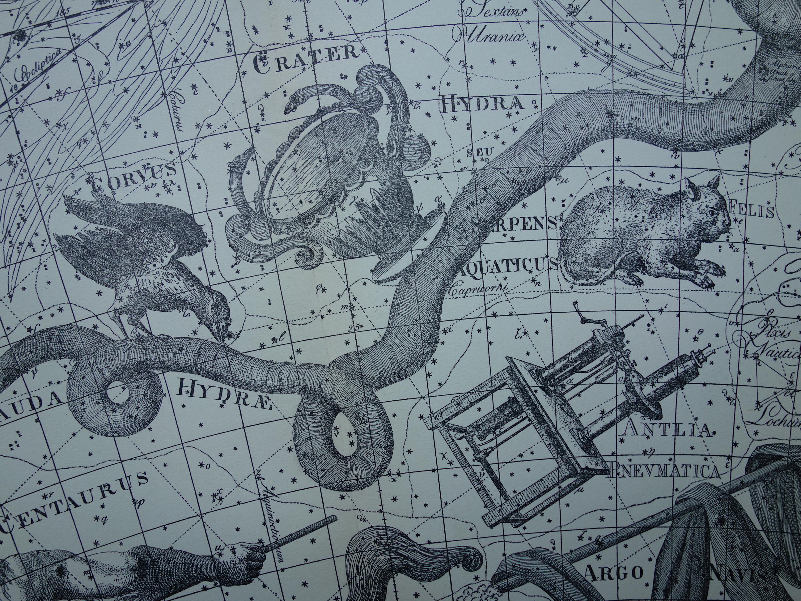 ASTRONOMY Old Star Chart Dutch Vintage Astronomy Print of Centaurus ...