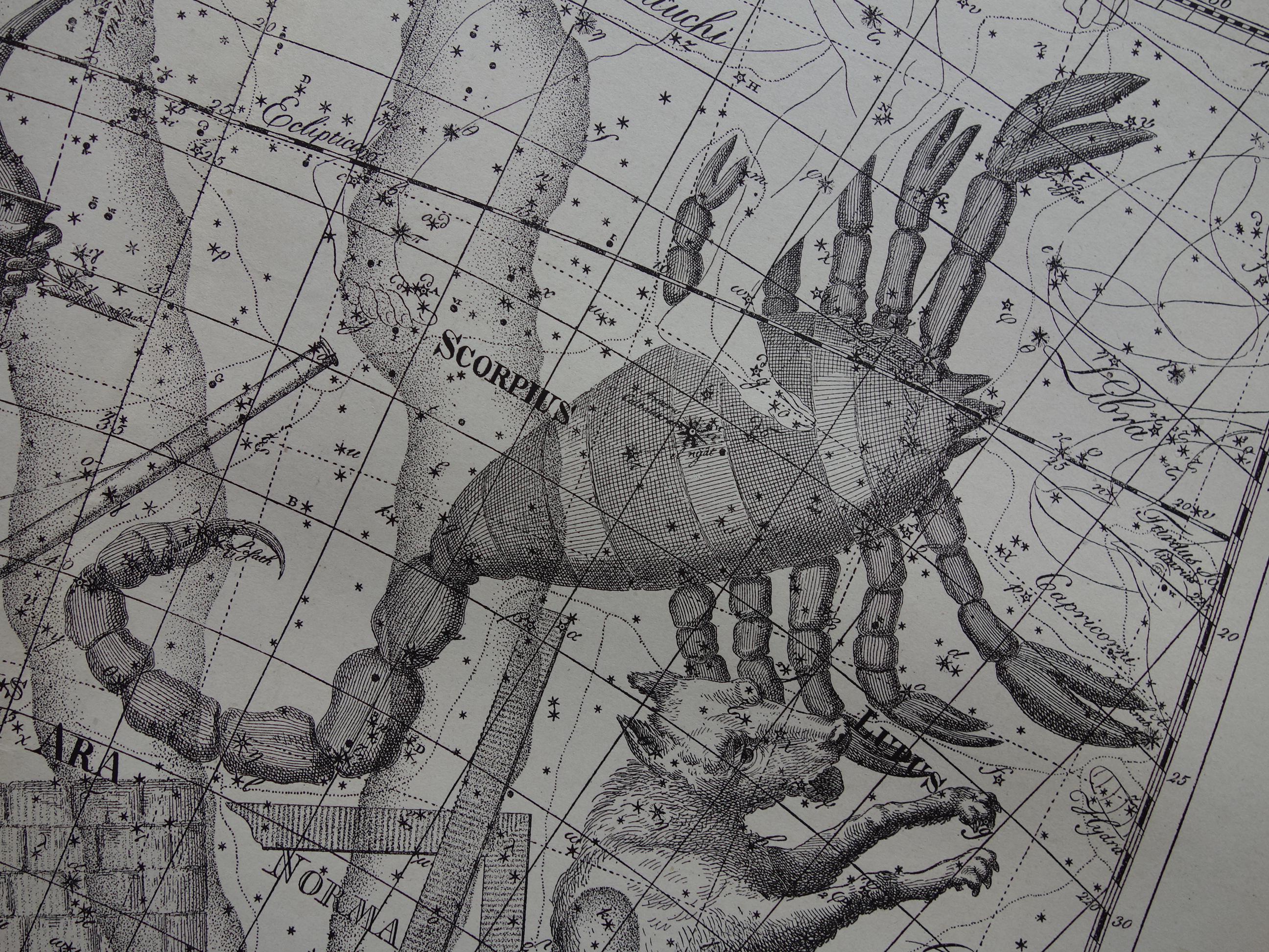 Old Astrology Print Antique Pictures of Scorpio Sagittarius Saggitarius ...