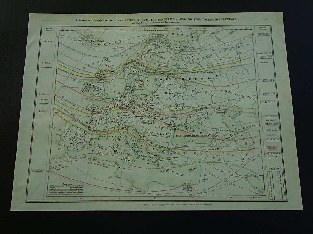EUROPE Map of Agriculture 1850 Old Antique Print About Crops - Etsy