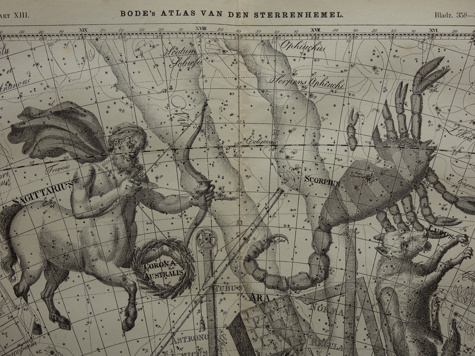 Old Astrology Print Antique Pictures of Scorpio Sagittarius - Etsy