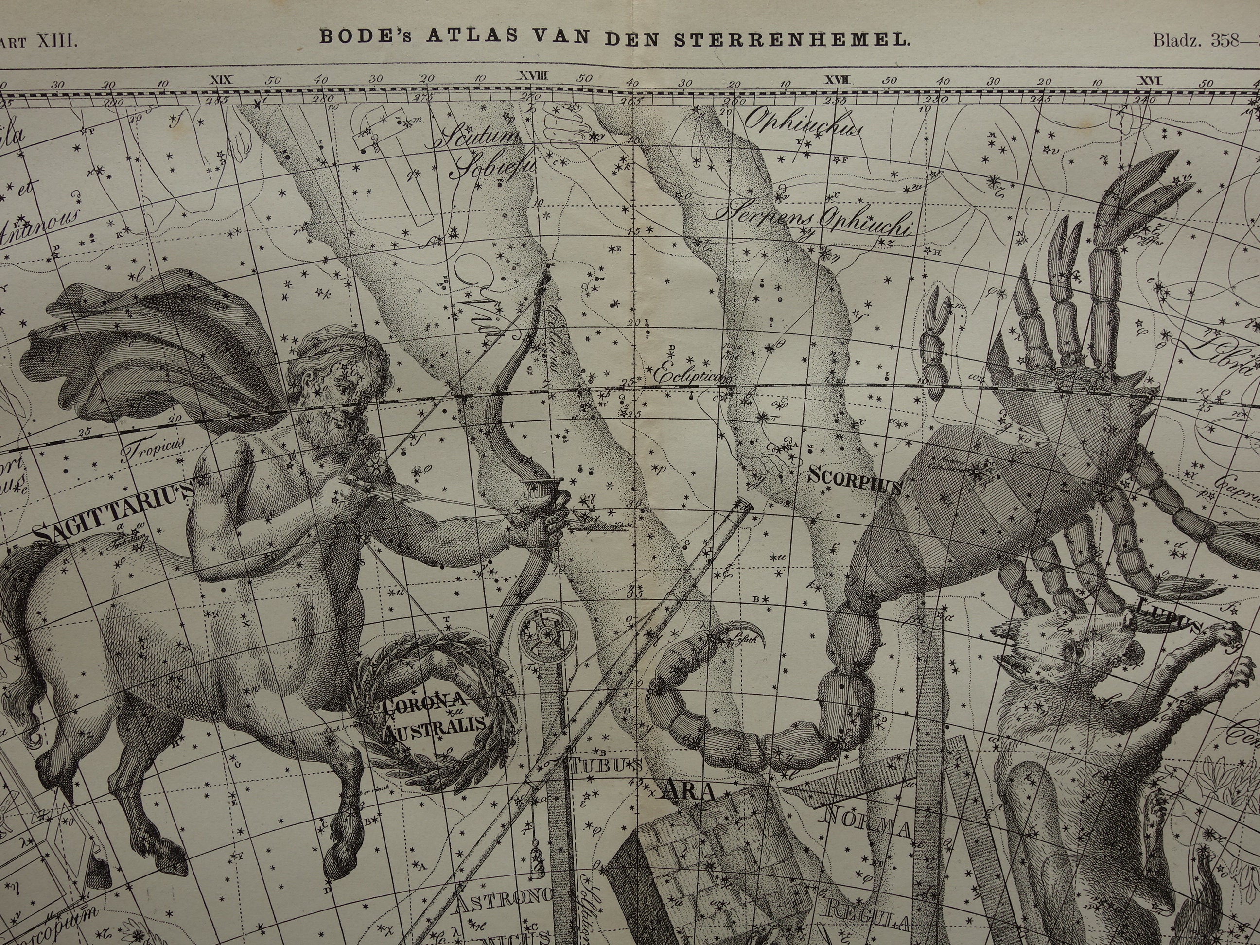 Old Astrology Print Antique Pictures of Scorpio Sagittarius - Etsy