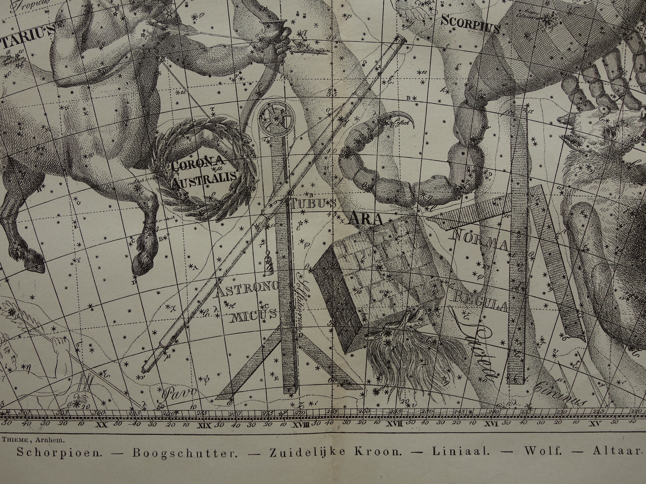 Old Astrology Print Antique Pictures of Scorpio Sagittarius - Etsy