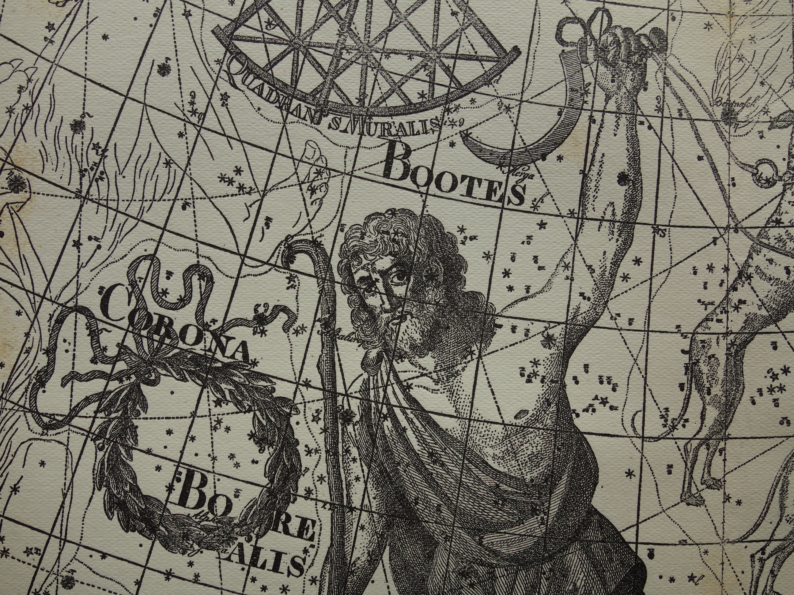 Old star chart vintage Dutch astronomy map of Canes vena Bootes Virgo ...