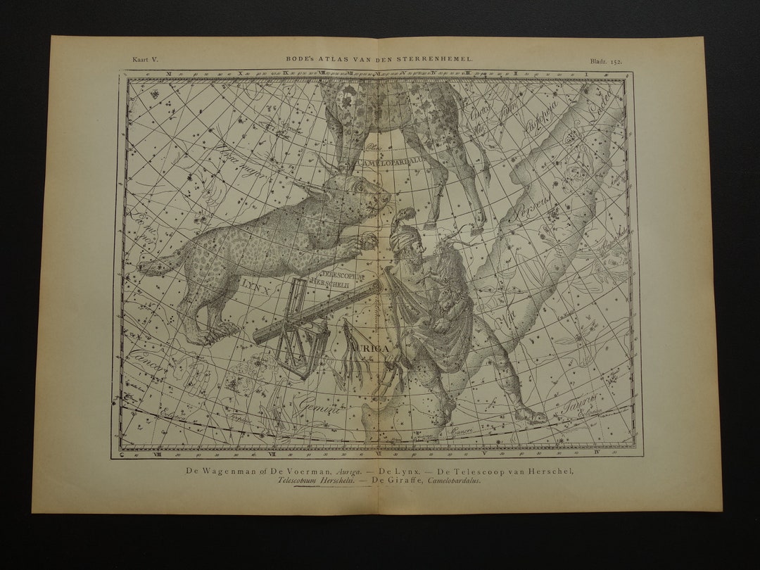 Old Star Chart Dutch Vintage Astrology Map of Lynx Auriga Giraffe ...