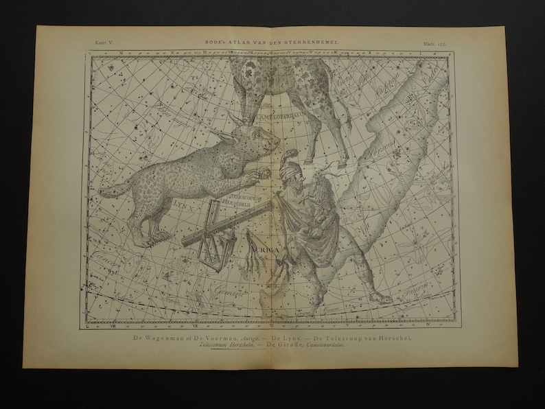 Old Star Chart Dutch Vintage Astrology Map of Lynx Auriga - Etsy