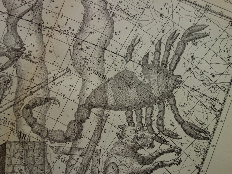 Old astrology print antique pictures of Scorpio Sagittarius | Etsy